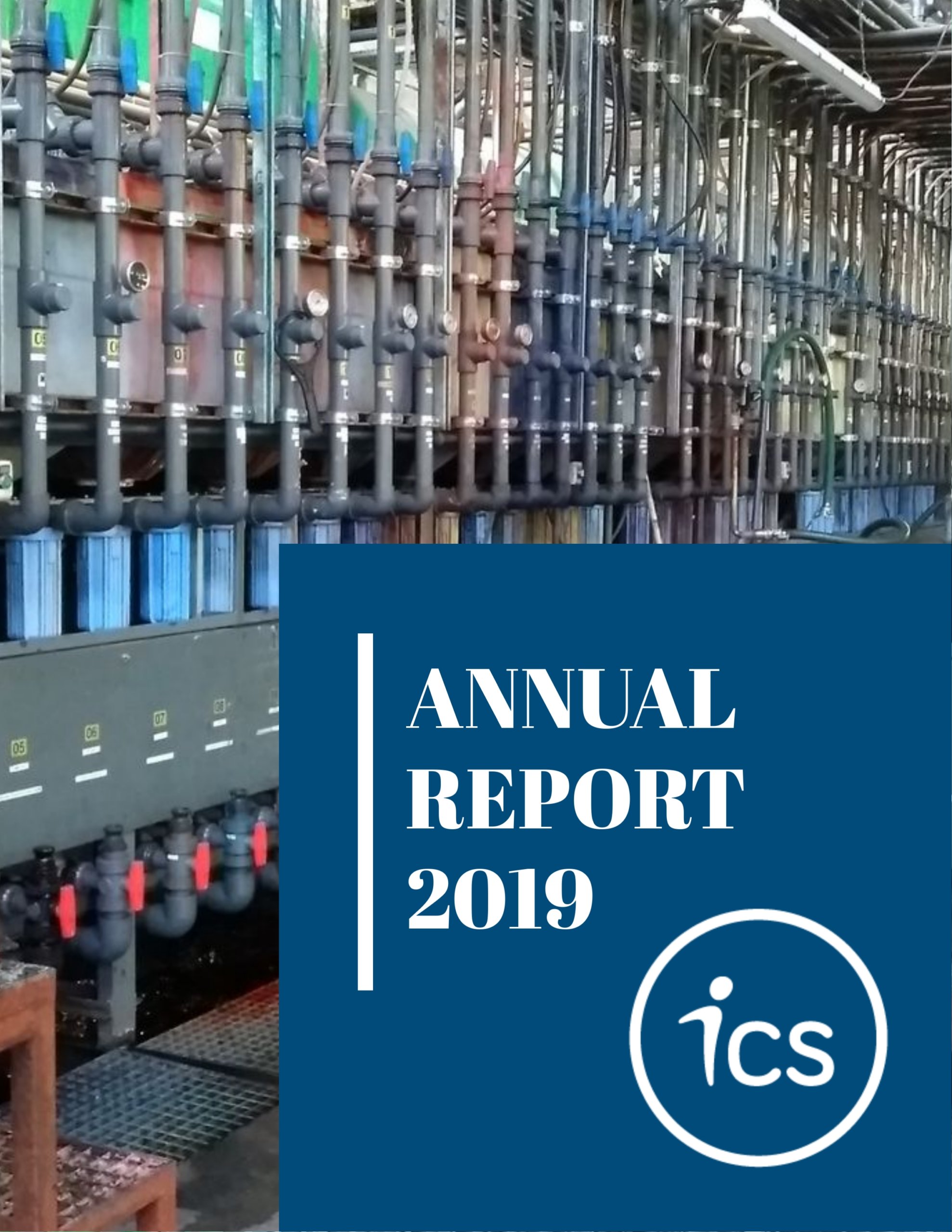 ICS publishes its 2019 Activity Report - ICS ASSO